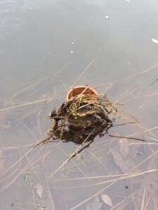 Choosing The Perfect Pond Overflow Drain