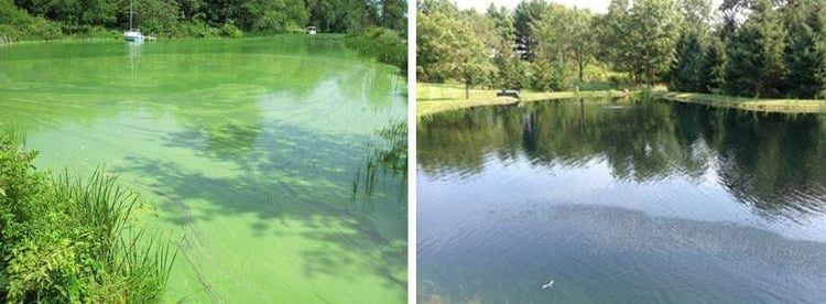 Choosing The Perfect Pond Overflow Drain