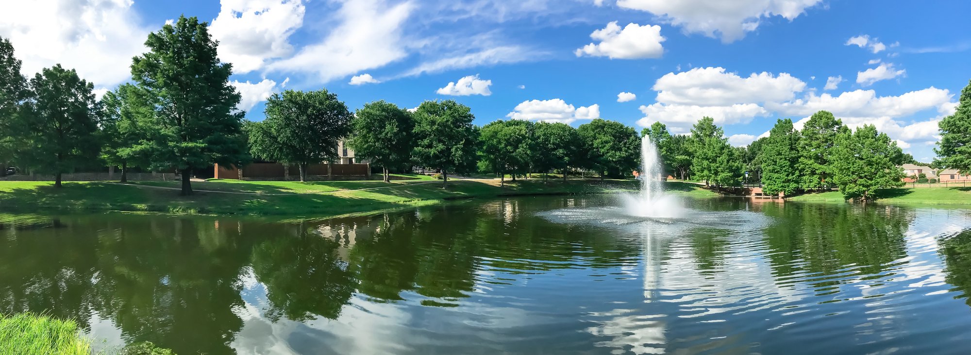 Blog - Wisconsin Lake & Pond